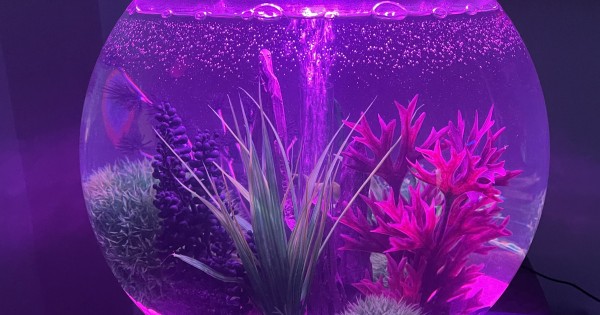 Bubble Tube Fish Tank (Acrylic)