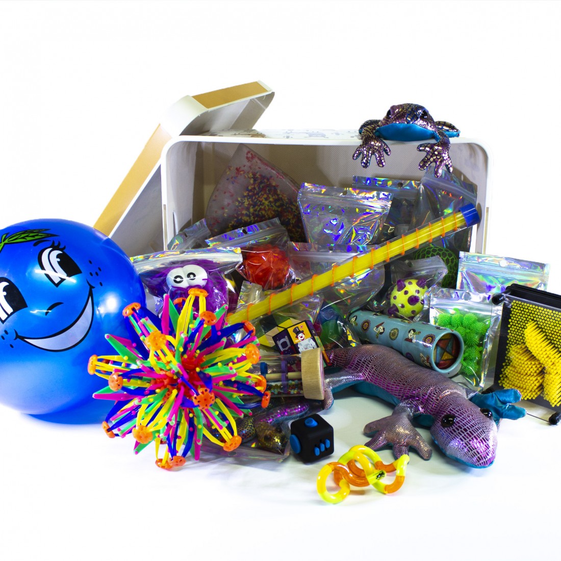 Fidget Box 25+ SENSORY FIDGETS